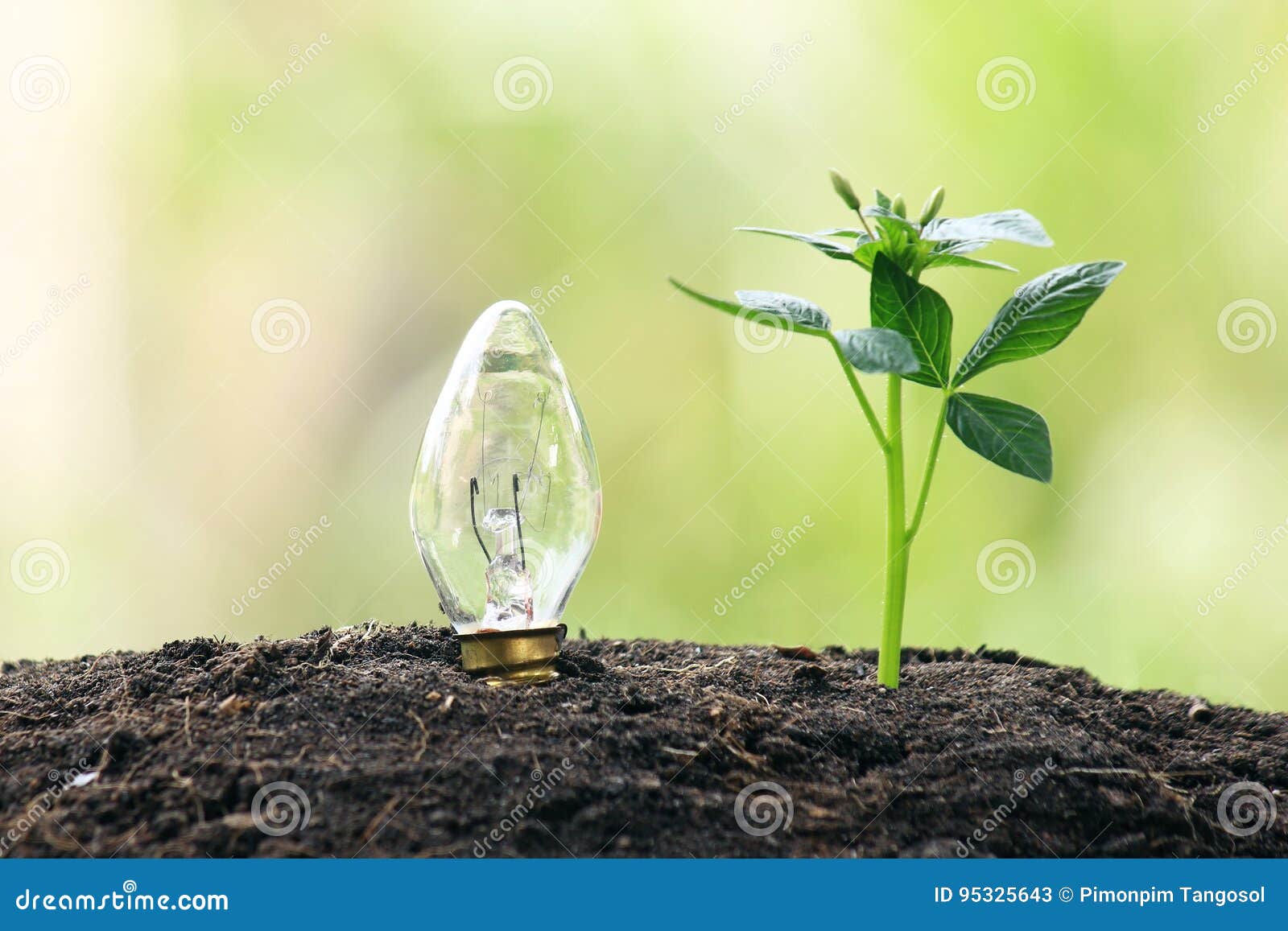 Symbolizing Renewable Energy, Bio Energy Stock Image - Image of light ...