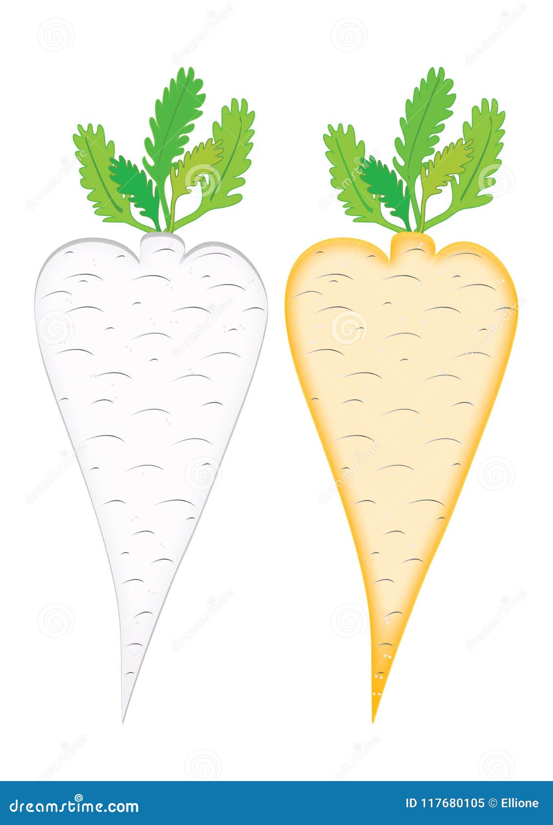 Symbolls root vegetables. stock vector. Illustration of design - 117680105