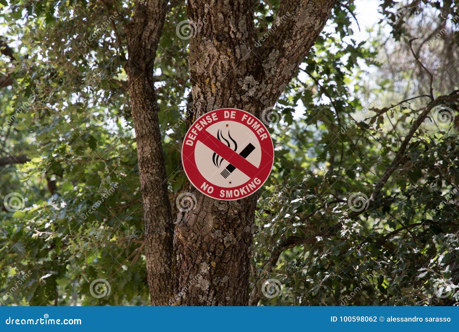Symbols and Signs in the Forest Paths Stock Photo - Image of paths ...