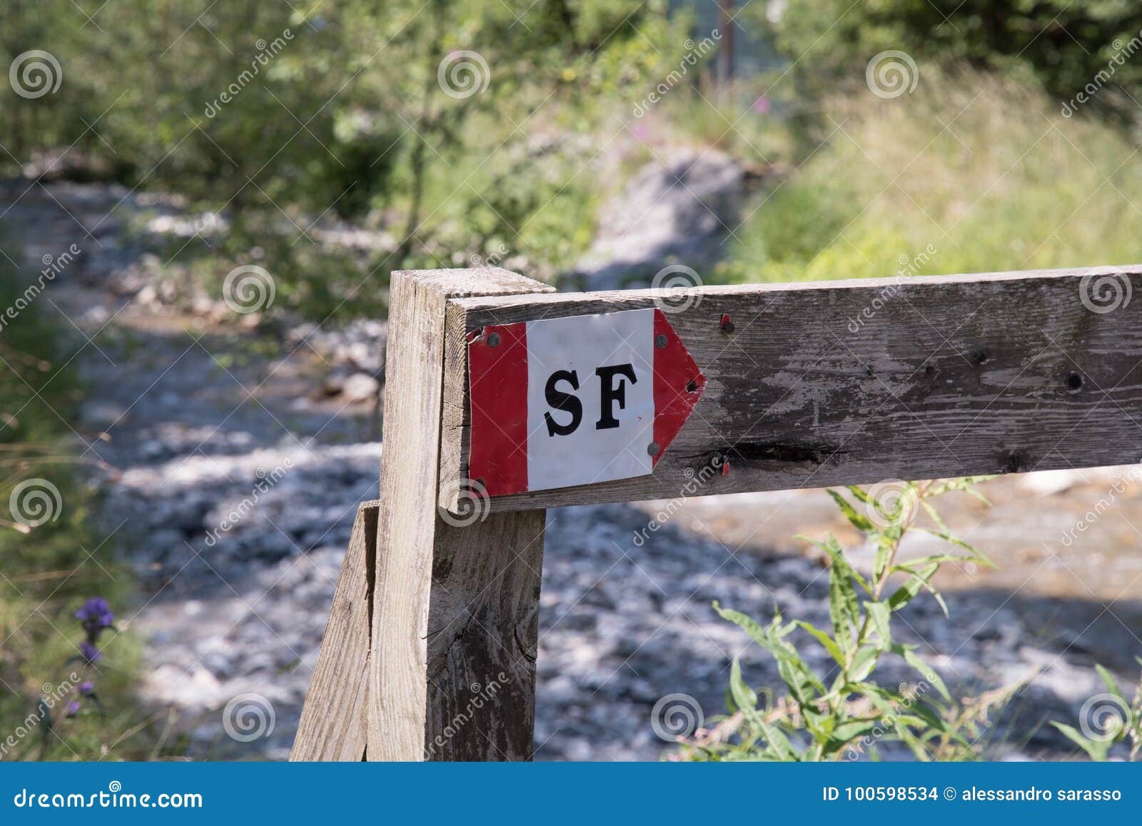Symbols and Signs in the Forest Paths Stock Photo - Image of signs ...