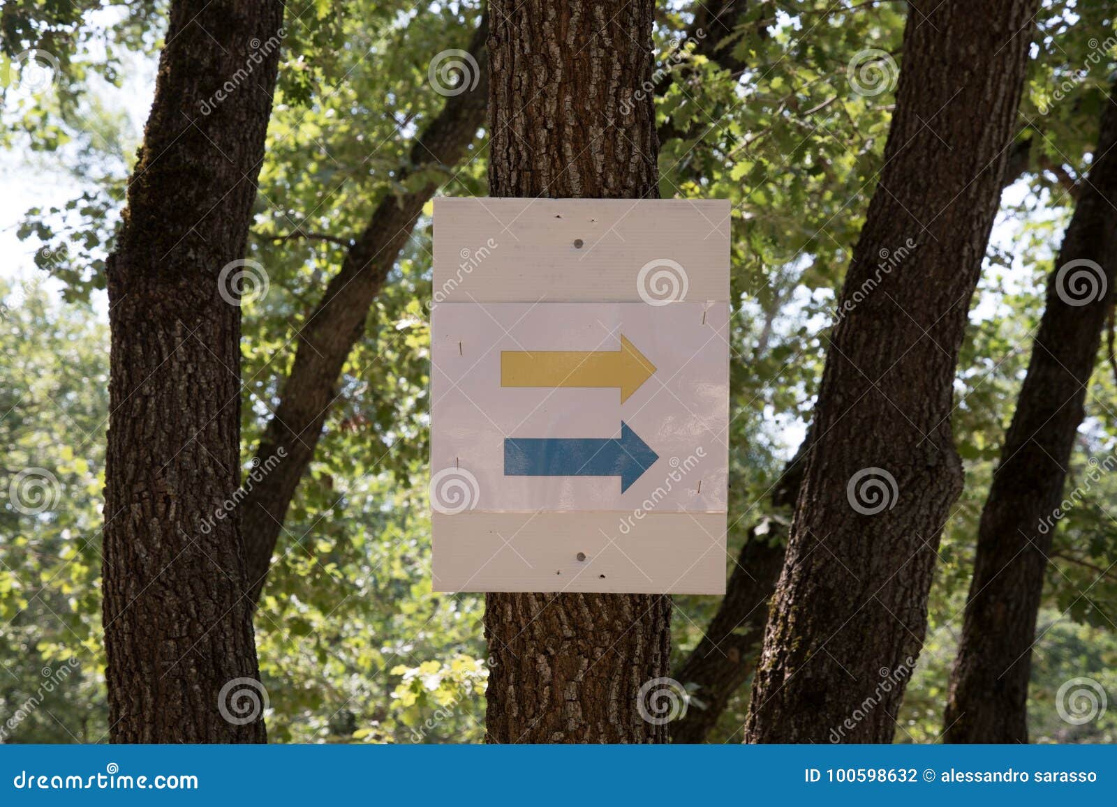Symbols and Signs in the Forest Paths Stock Photo - Image of wild ...