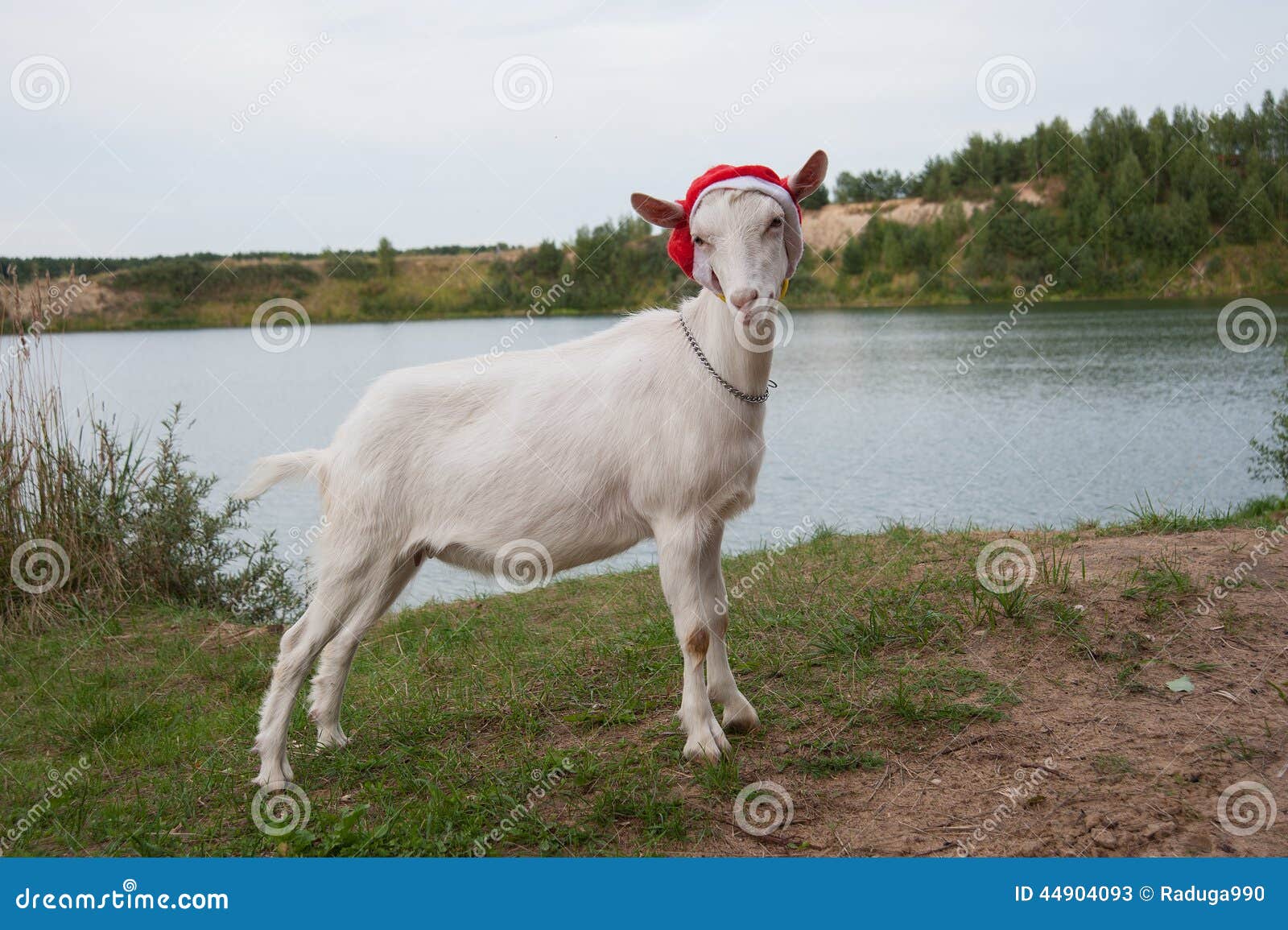 Symbool van de jaar-geit stock afbeelding. Image of landelijk - 44904093