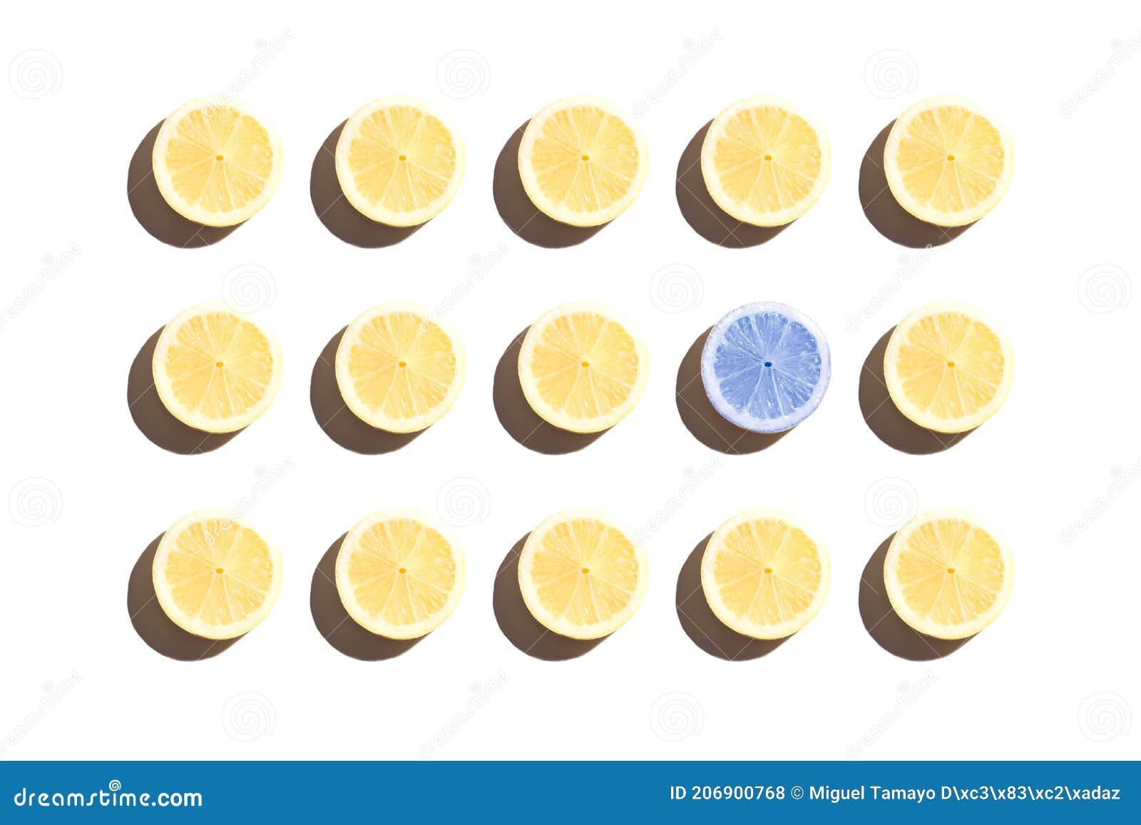 Symmetrical Composition of Lemon Slices on White Background. Top View ...
