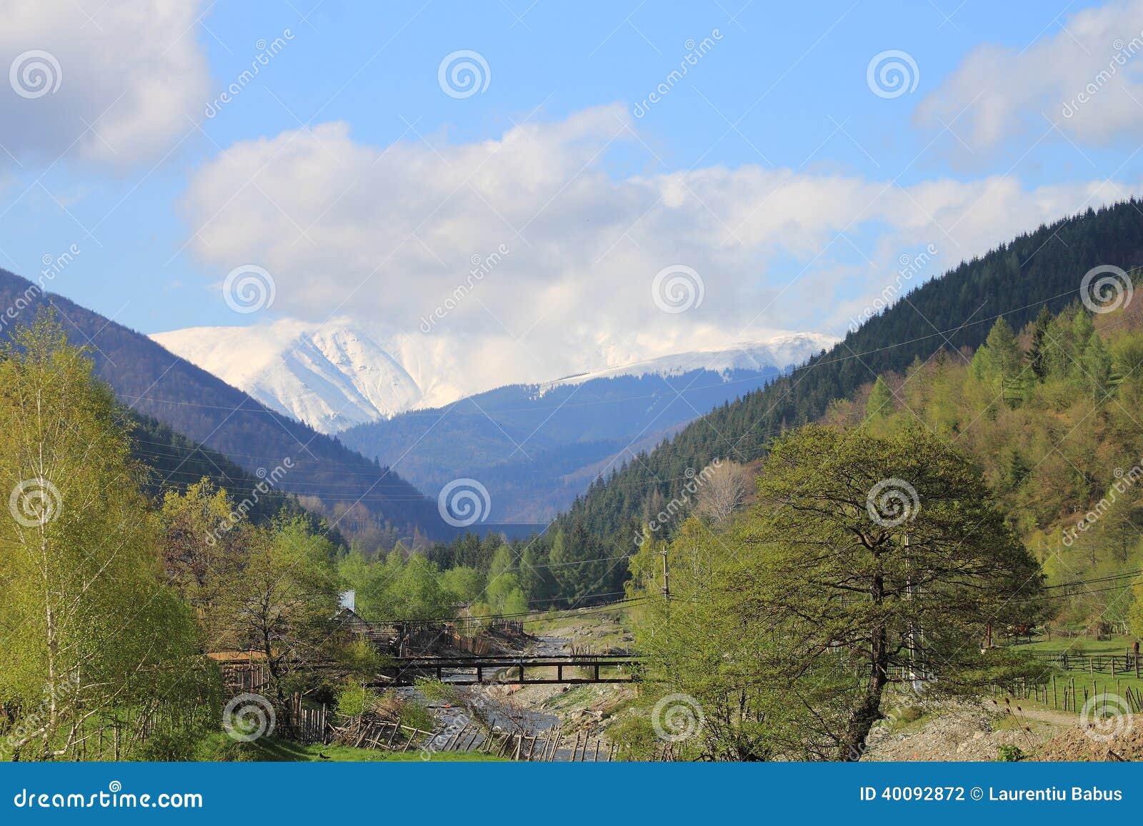 Symmetrical Landscape with Green Trees and Snow at the Horizon Stock ...