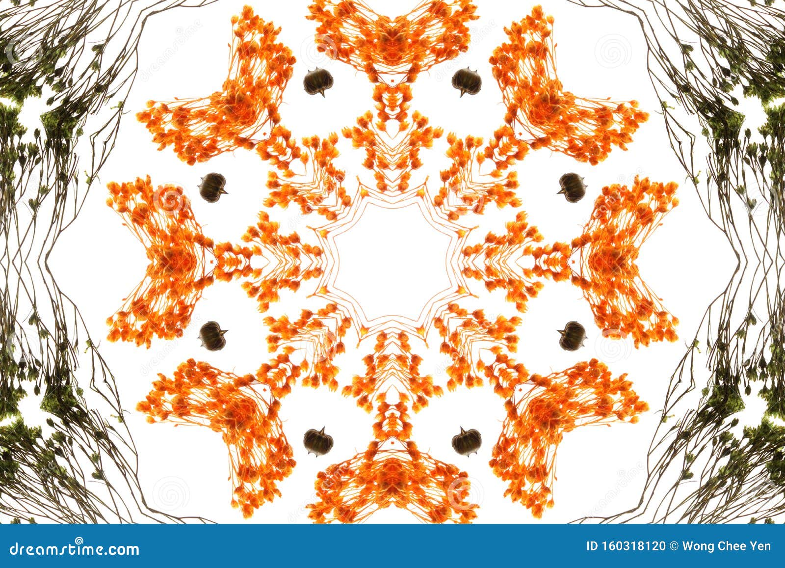 Symmetrical Orange Green Dried Floral Octogonal Design Pattern Stock ...