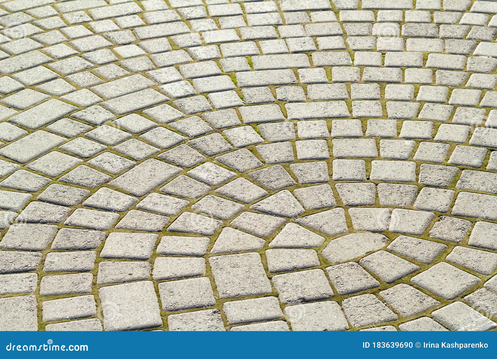 Symmetrical Pattern of Sidewalk Tile with Green Moss .Grey Pavement ...