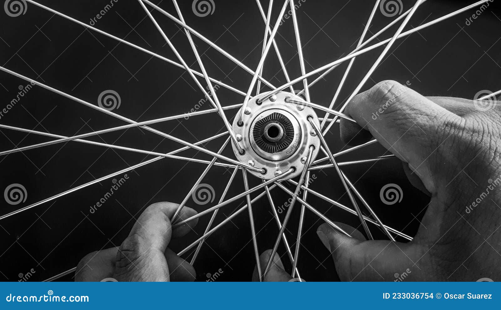 Symmetrical Plot on Bicycle Wheel, Hands Hold a Bicycle Wheel Stock ...