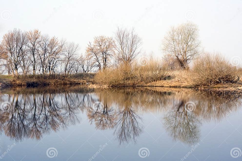 Symmetrical Reflection of Trees in the Water in Early Spring Stock ...