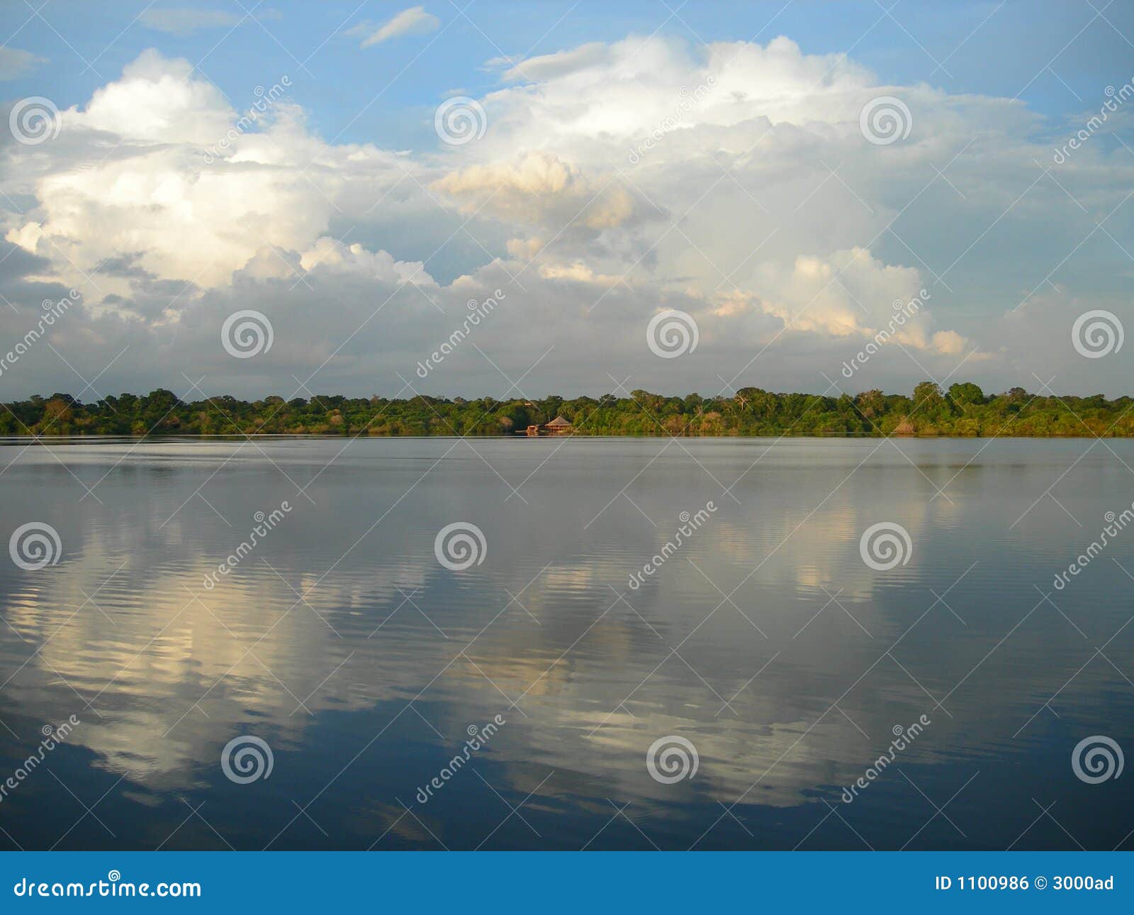 Symmetry Forest Skyline on the Amazon River Stock Photo - Image of ...
