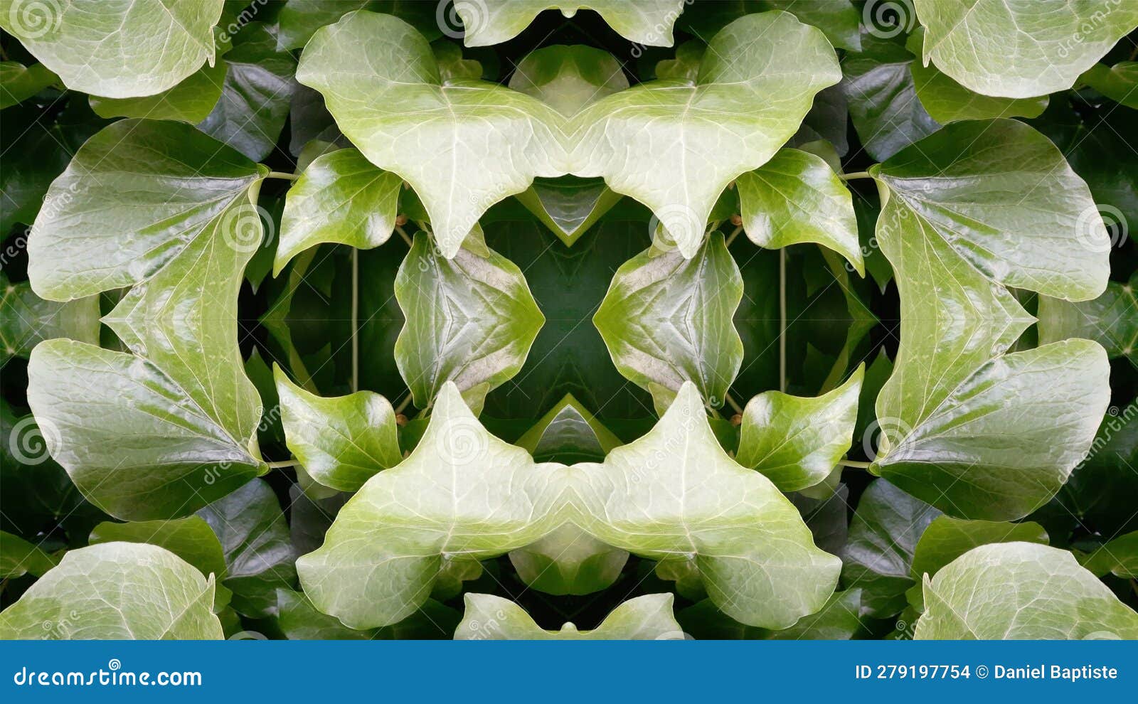 Symmetry made with leaves stock photo. Image of leaf - 279197754