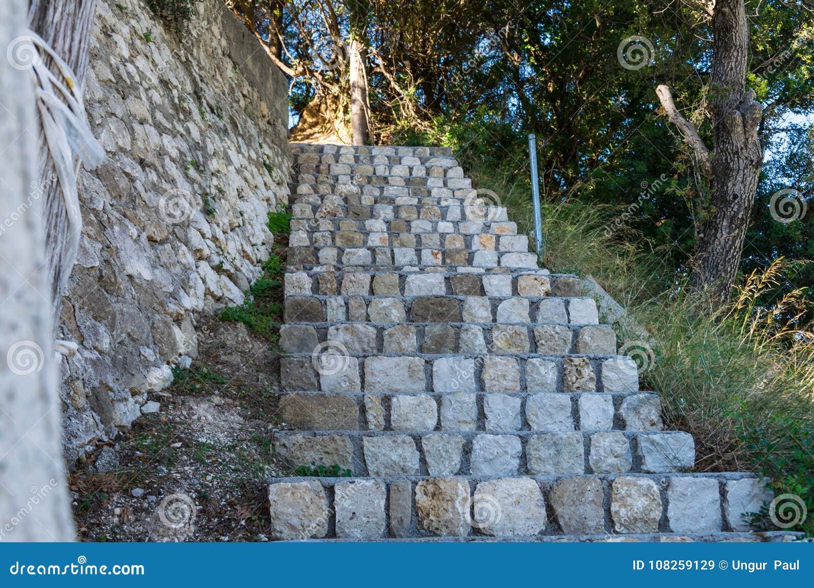 Stairs Leading in the Light Stock Image - Image of decline, bush: 108259129