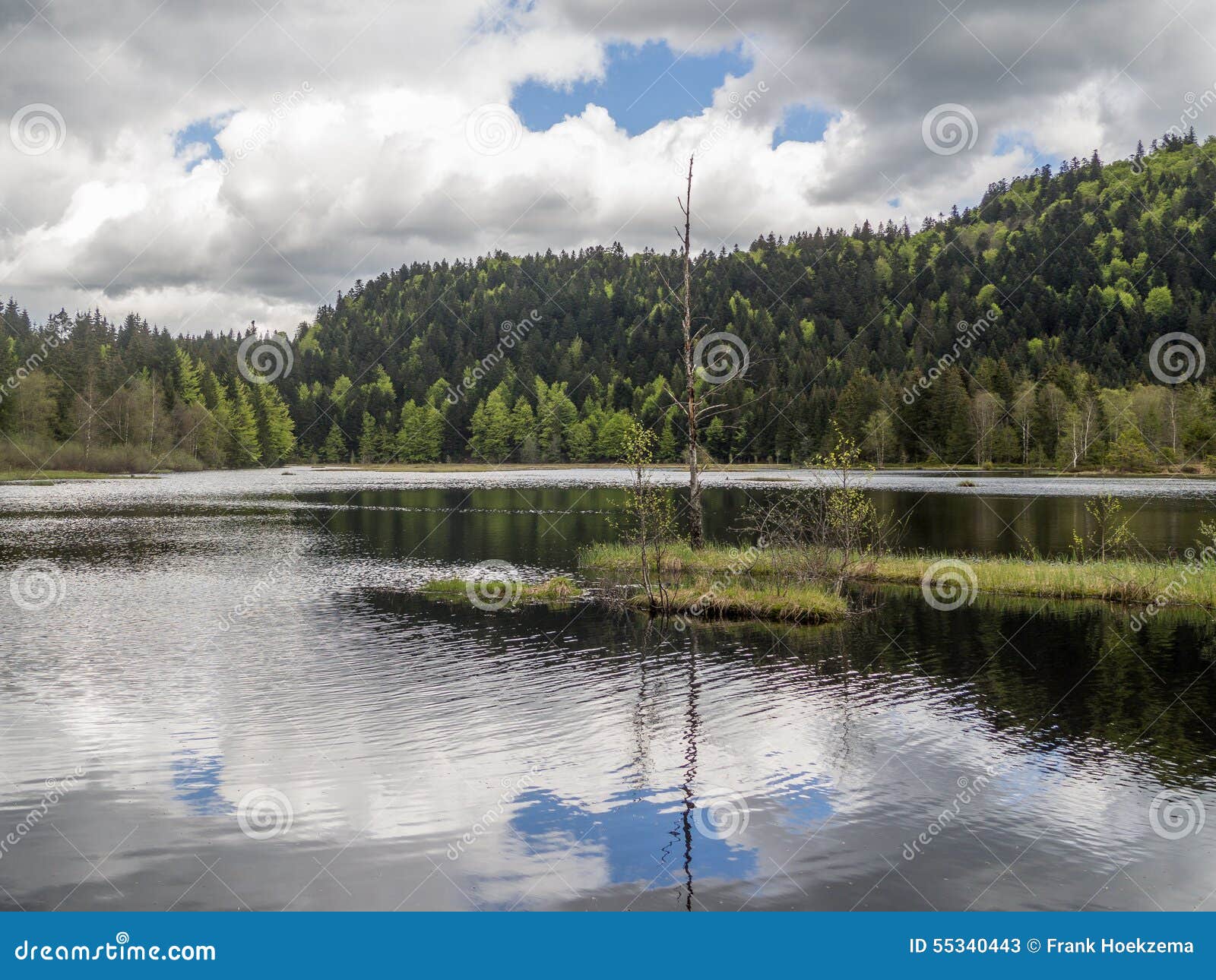 Symmetry Reflections in a Small Lake Stock Image - Image of mirror ...