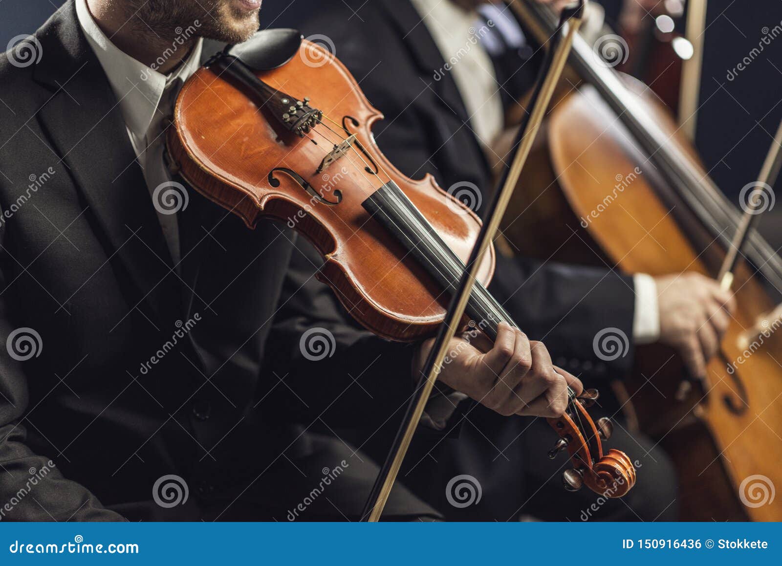 Symphonic String Orchestra Performing on Stage Stock Photo - Image of ...