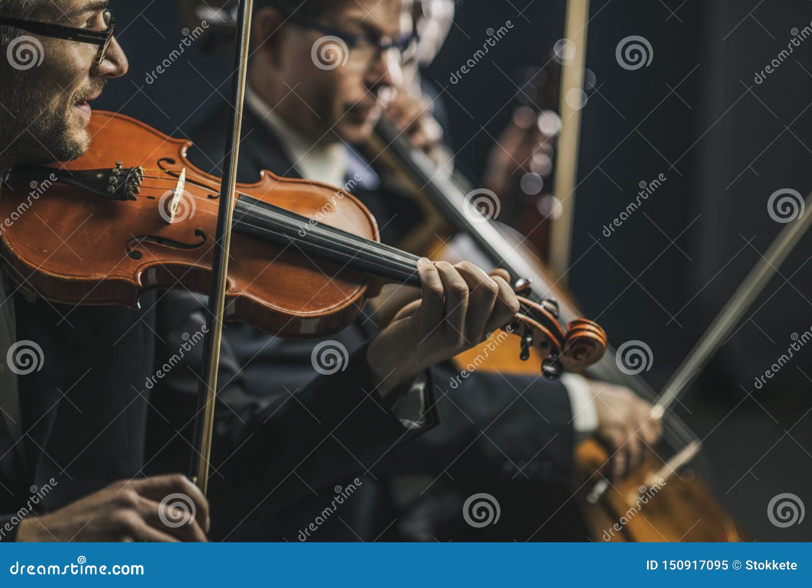 Symphonic String Orchestra Performing on Stage Stock Image - Image of ...