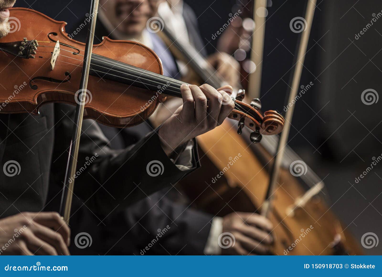 Symphonic String Orchestra Performing on Stage Stock Image - Image of ...