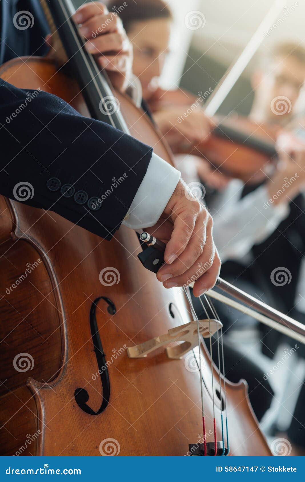 Symphony Orchestra Performance, String Section Stock Image - Image of ...