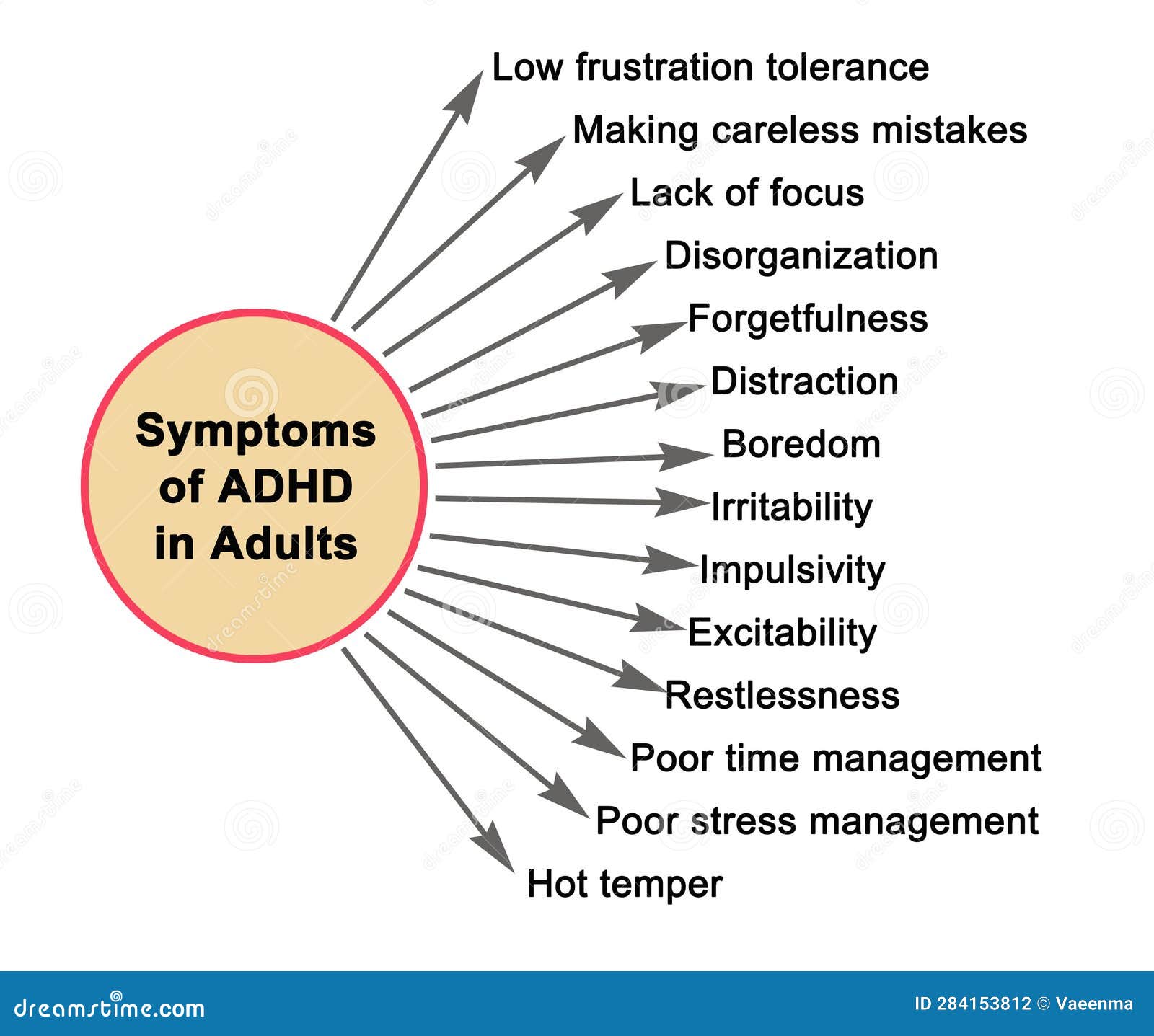 Symptoms Of Adhd In Adults Stock Illustration Illustration Of Diagram