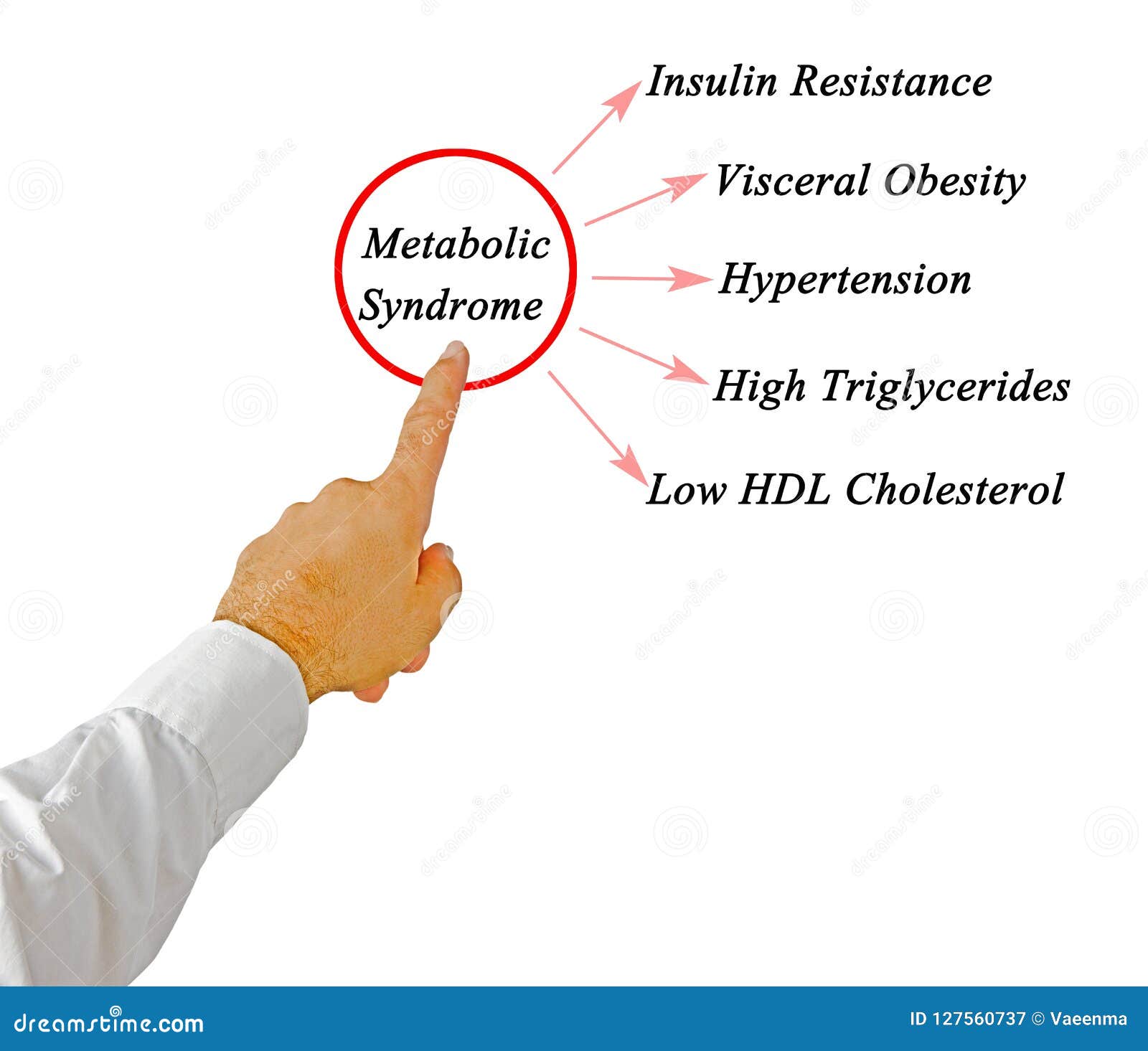 Metabolic Syndrome Method Text With Keywords Isolated On White Board ...