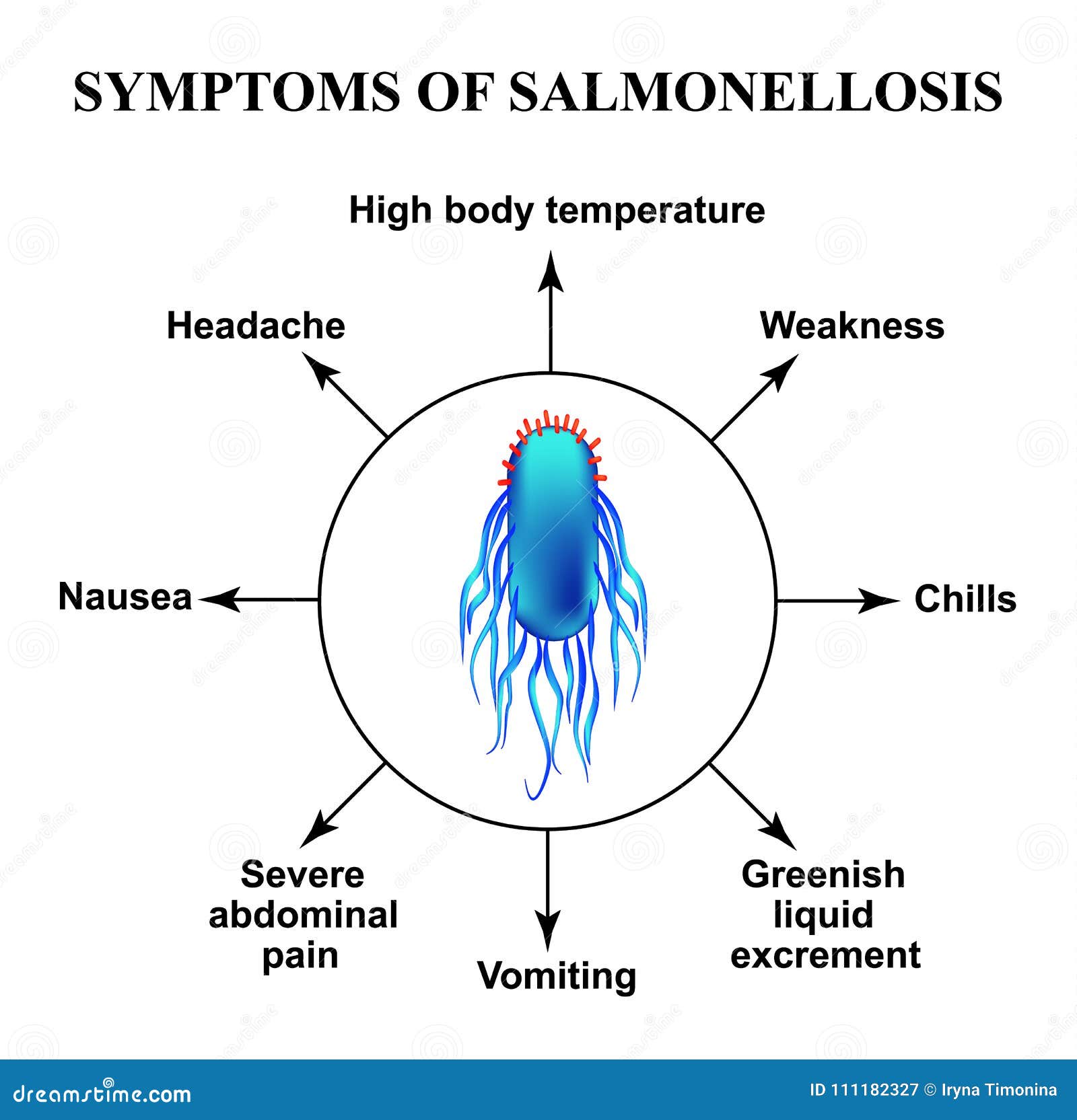 Salmonella Symptoms