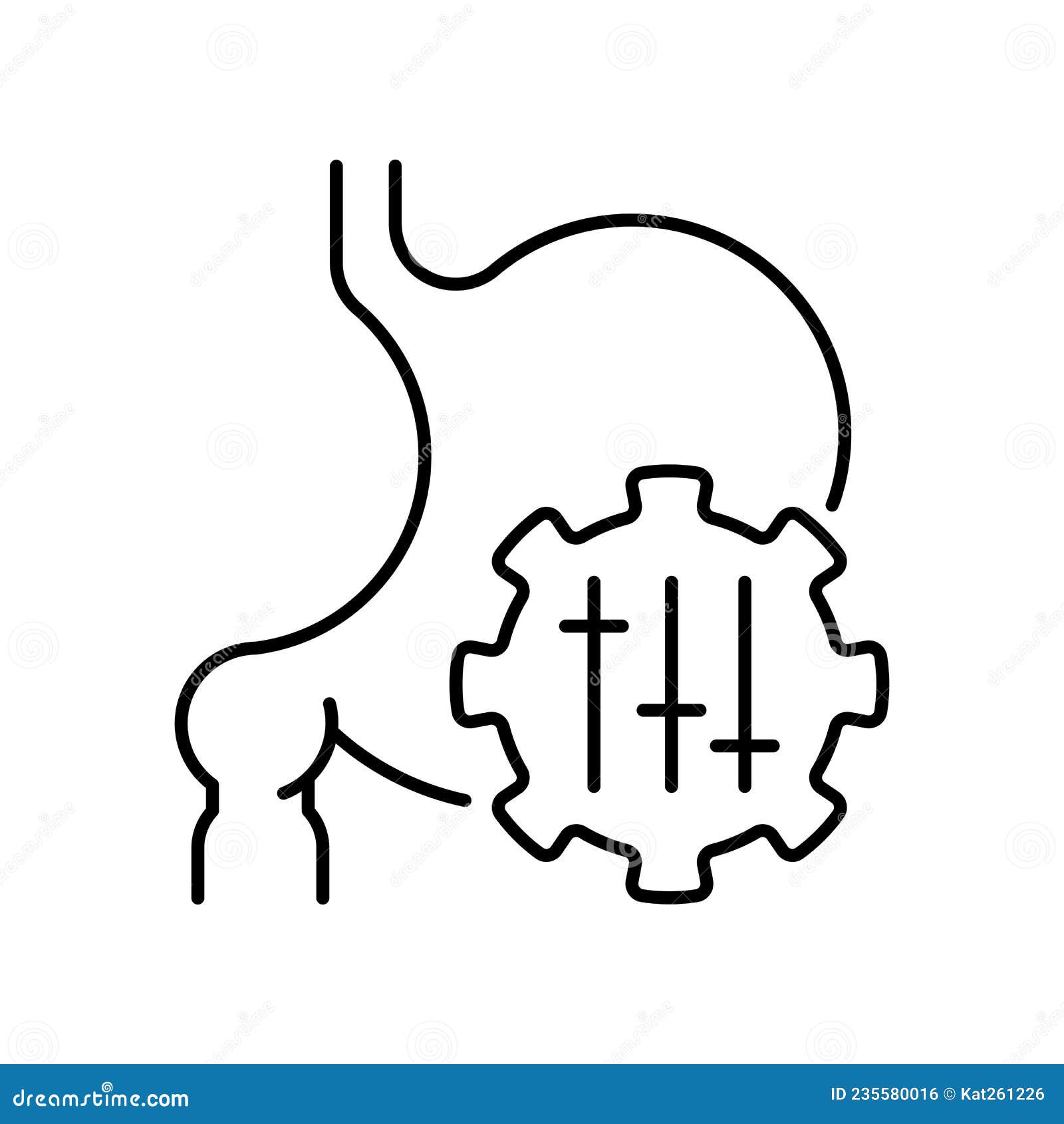 Symptoms of Stomach Problems Settings for the Normal Functioning of the ...