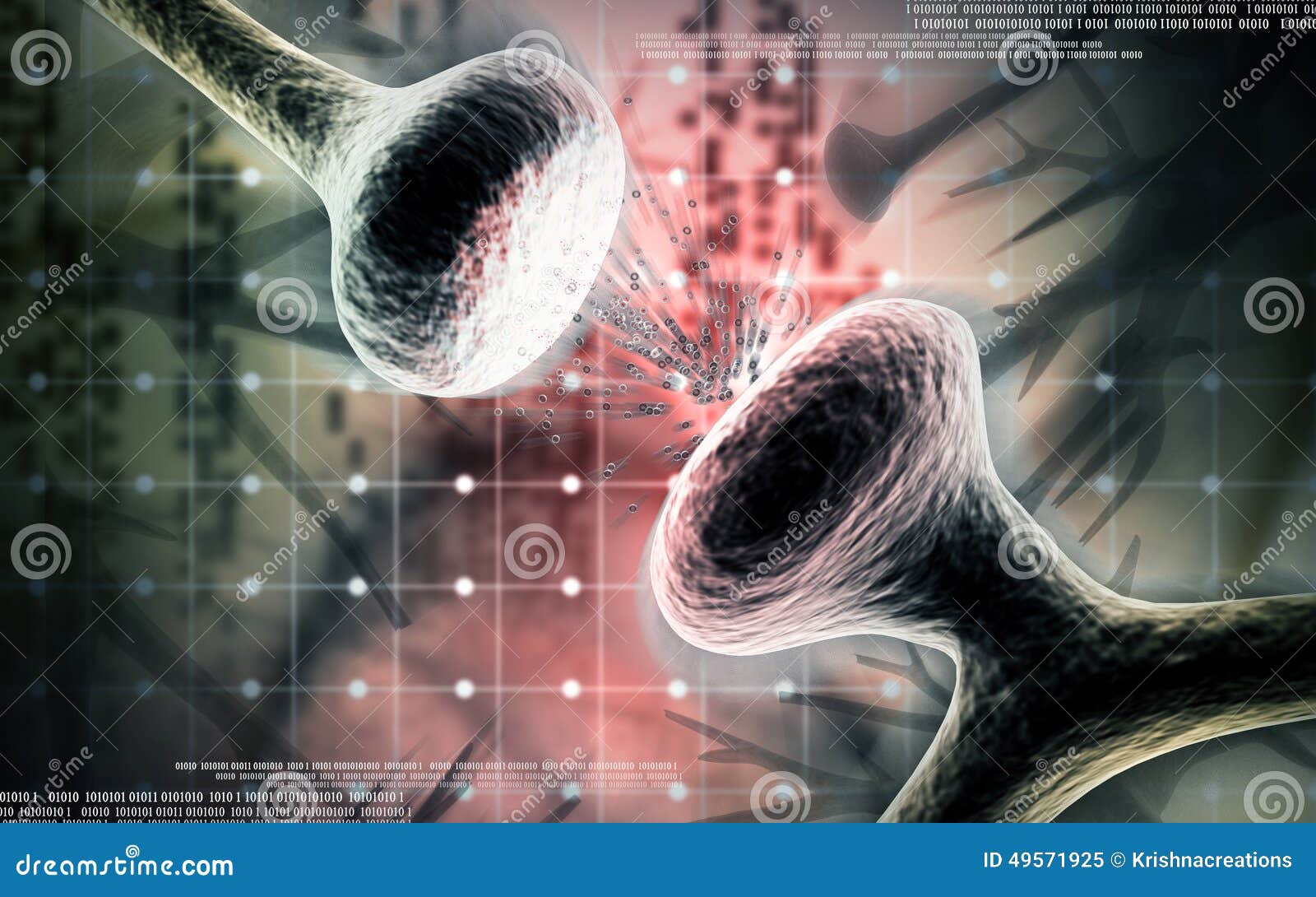 Synaps stock illustratie. Illustration of receptor, hersenen - 49571925