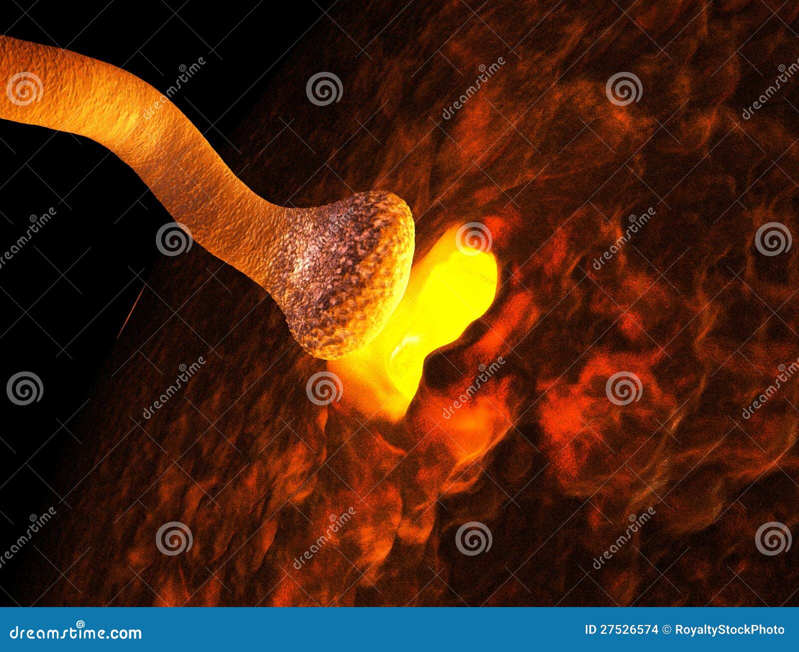 Synapse stock illustration. Illustration of chemical - 27526574