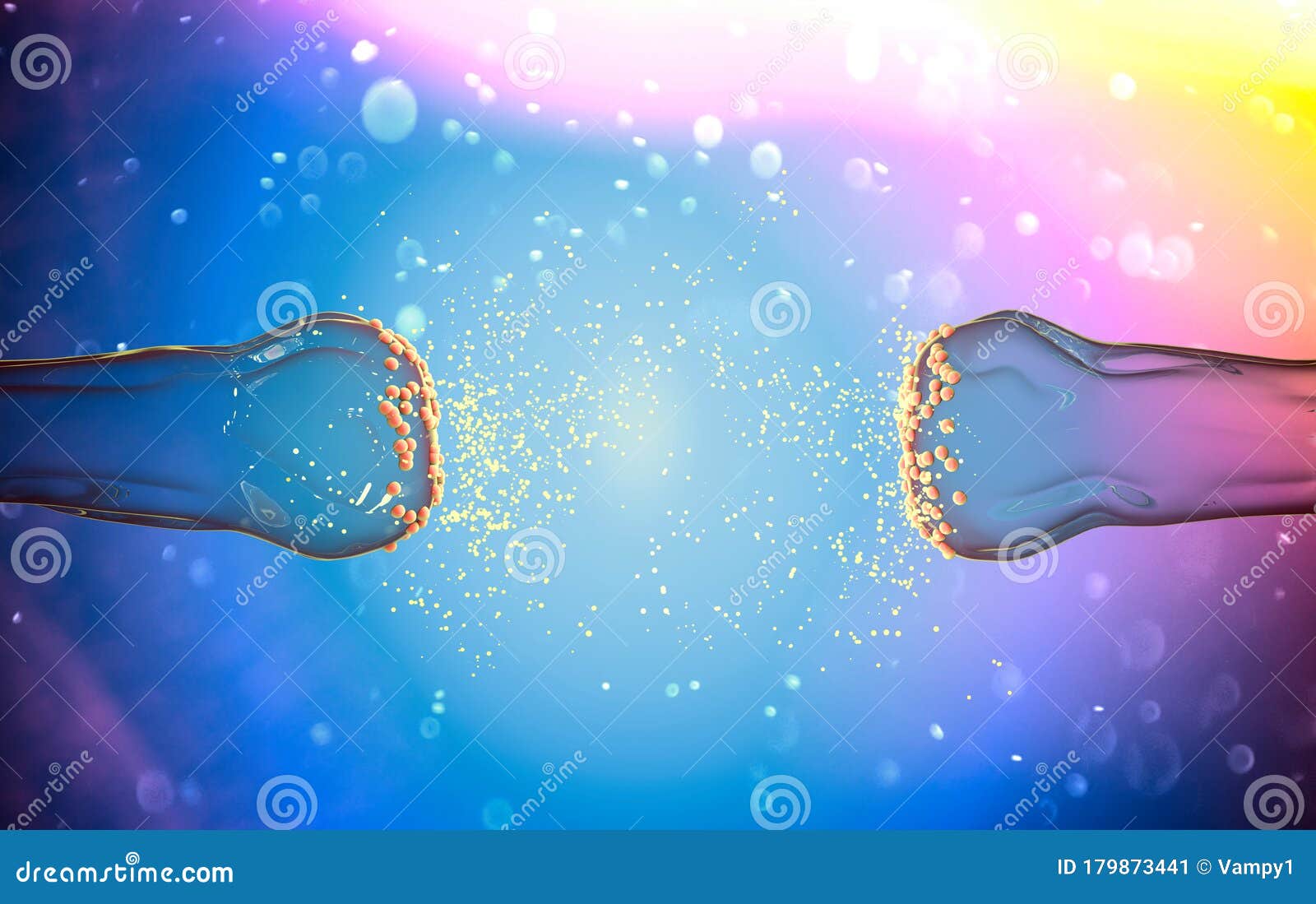 Synapse Connections. Structure that Permits a Neuron or Nerve Cell To ...