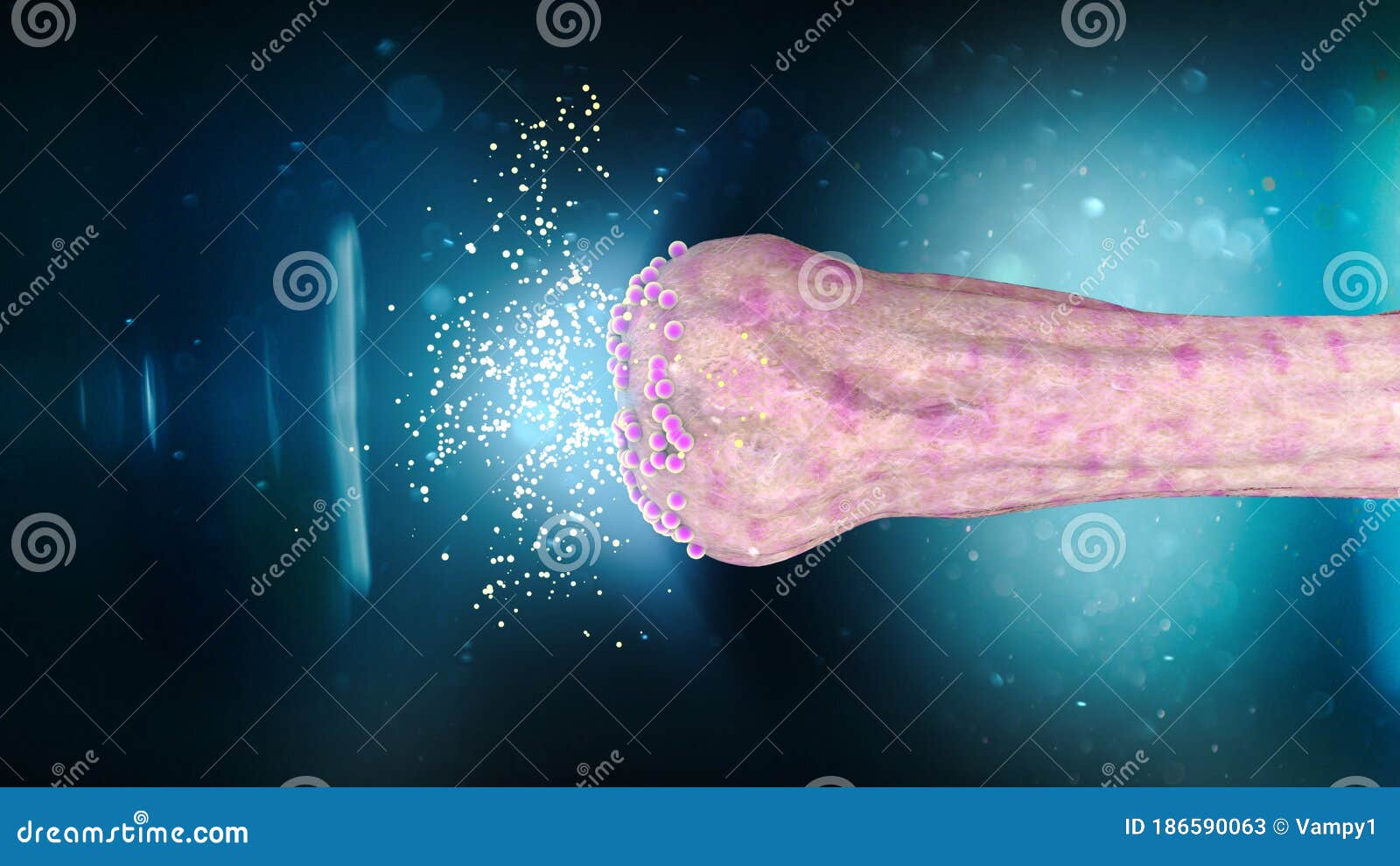 Synapse Connections. Structure That Permits A Neuron Or Nerve Cell To ... Synapse Connections. Structure That Permits A Neuron Or Nerve Cell To ...