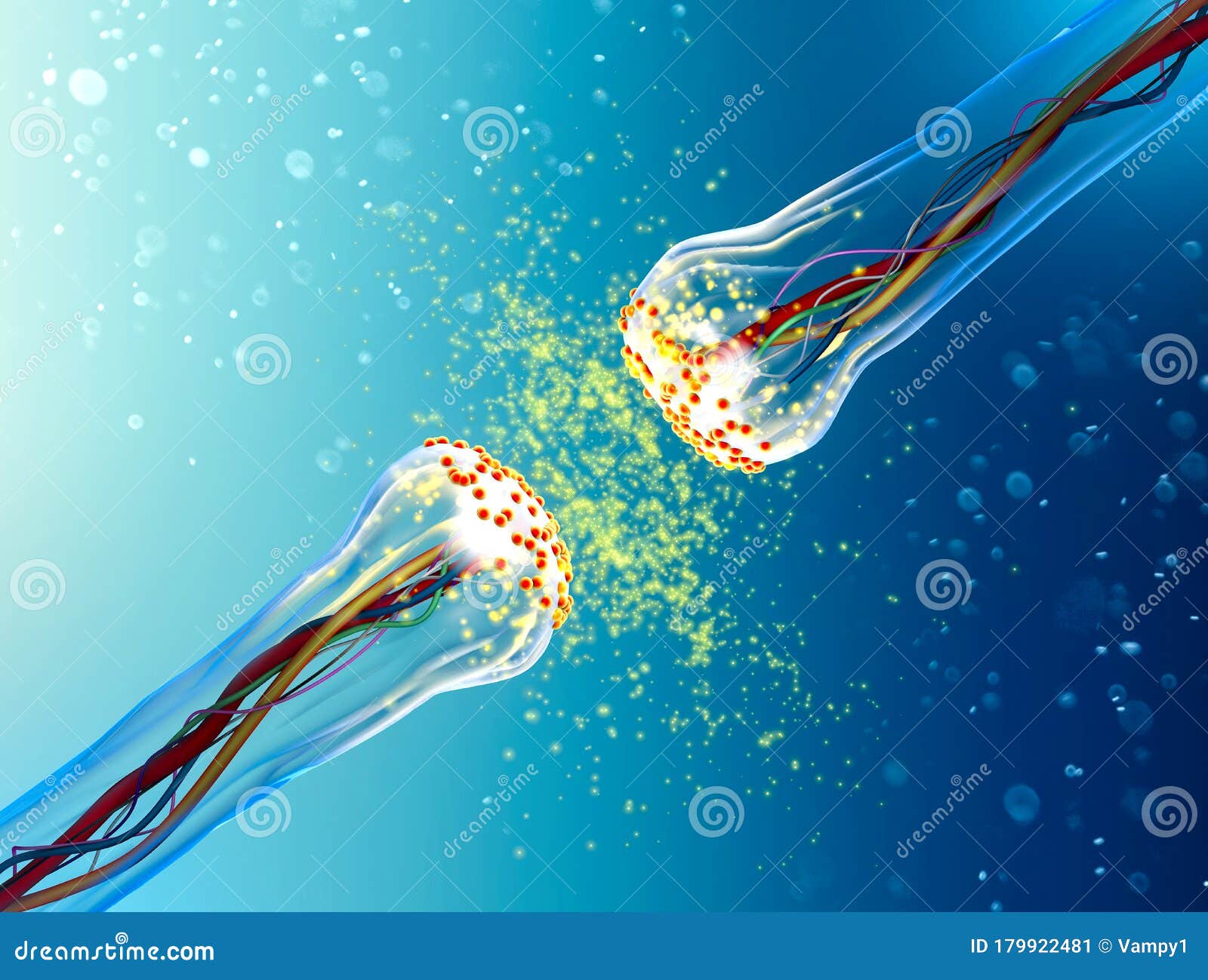 Synapse Connections. Structure that Permits a Neuron or Nerve Cell To ... Synapse Connections. Structure that Permits a Neuron or Nerve Cell To ...