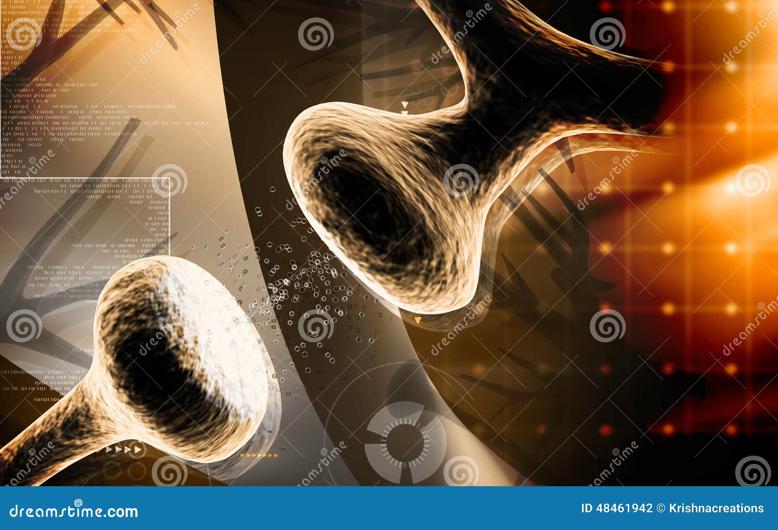 Synapse stock illustration. Illustration of nucleus, hormone - 48461942