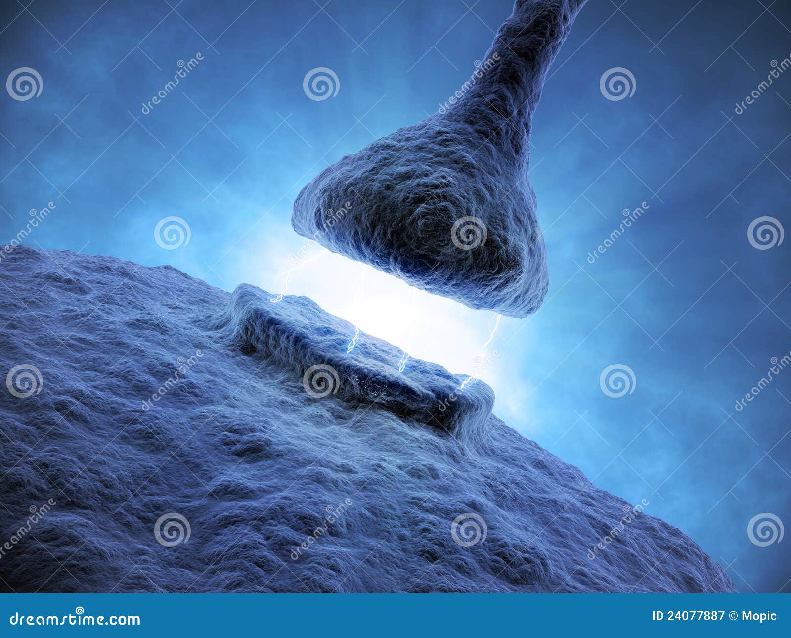 Neural Synapse, Electric And Chemical Signals Between Two Neurons ...