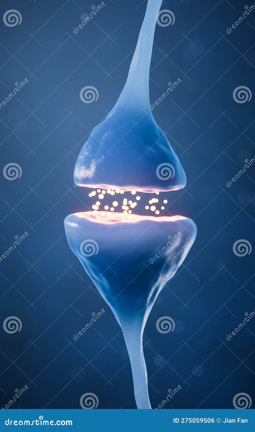 Synapse of Neuron Cell, Biology Concept, 3d Rendering Stock ...