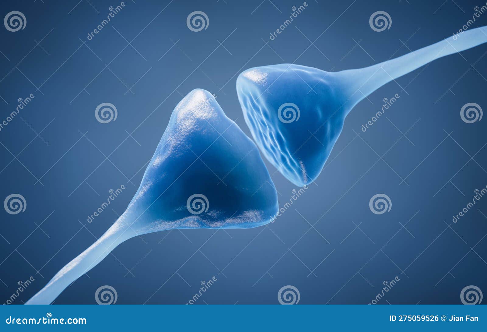 Synapse of Neuron Cell, Biology Concept, 3d Rendering Stock ...