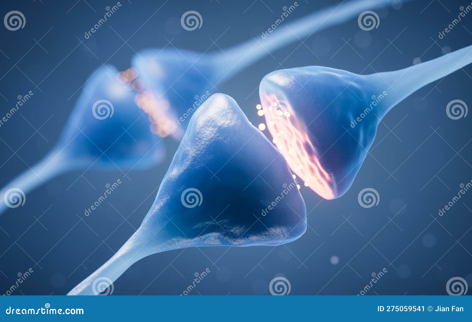 Synapse of Neuron Cell, Biology Concept, 3d Rendering Stock ...