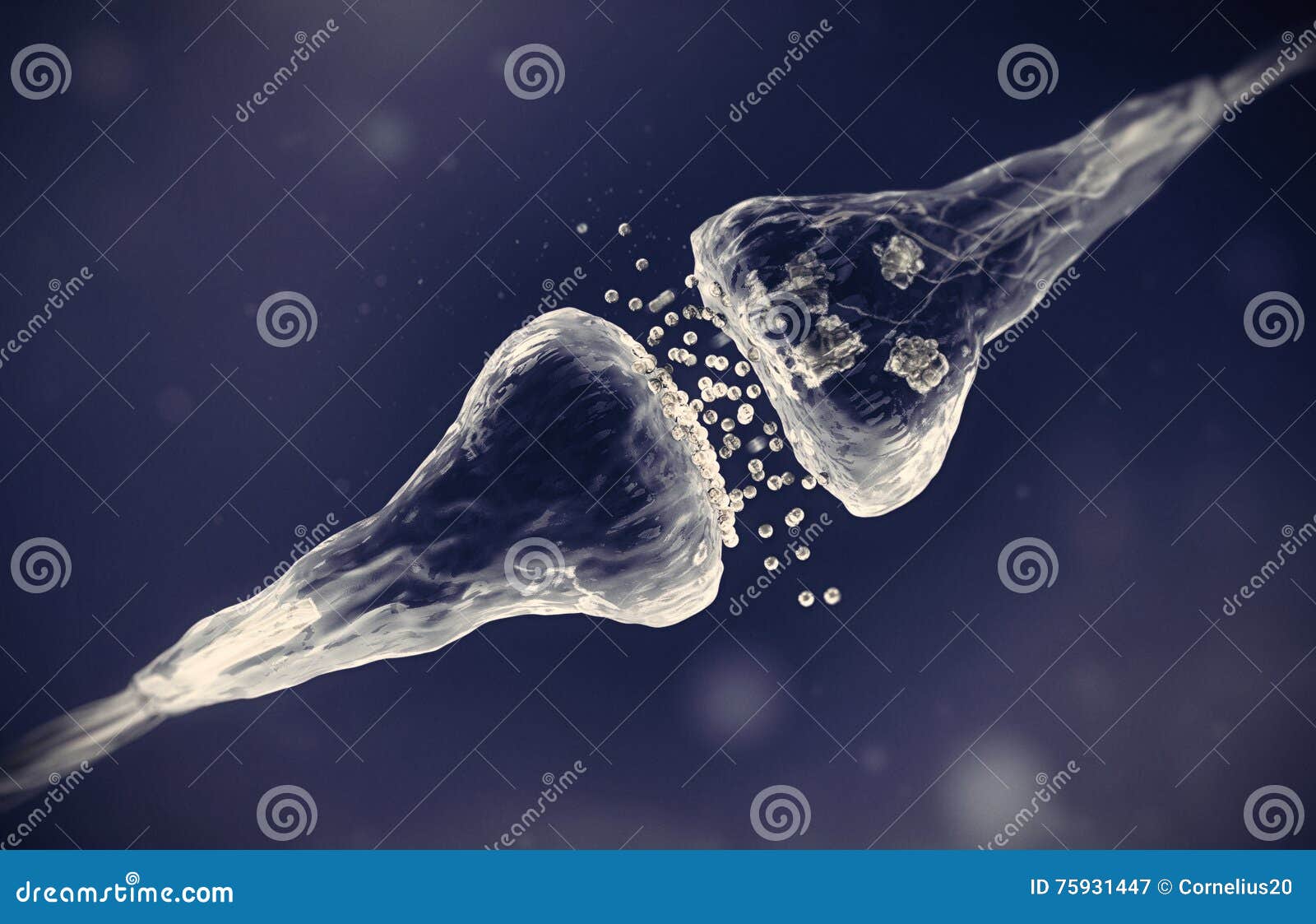 Synapse Vector Illustration | CartoonDealer.com #68777670