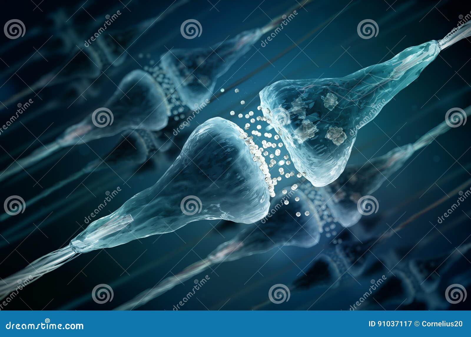 Synapse and Neuron cells stock illustration. Illustration of ...
