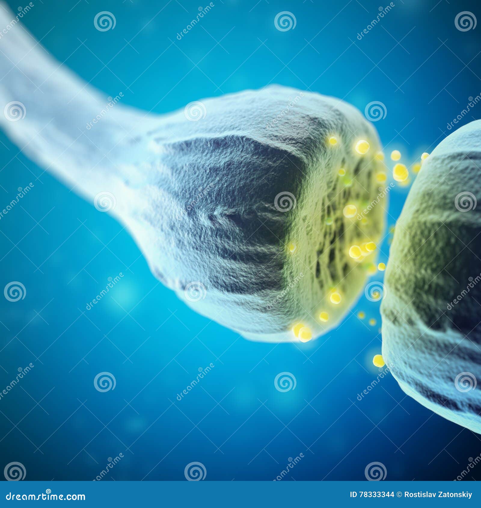 Synapse And Neuron Cells Sending Electrical Chemical Signals. Digital ...