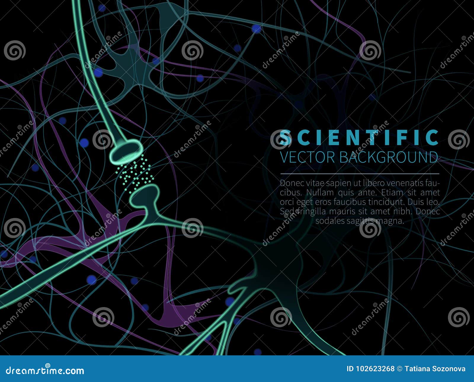 Model of neural system stock illustration. Illustration of impulse ...