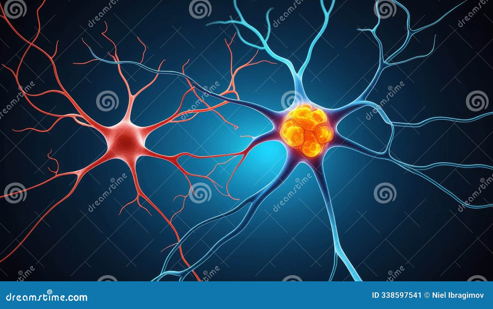 Synapse and Neuron in 3D Brain Illustration for Scientific Study Stock ...