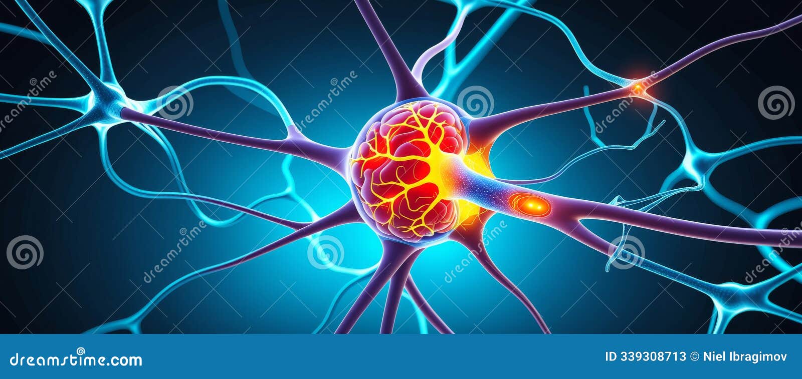 Synapse and Neuron in 3D Brain Illustration for Understanding Nervous ...