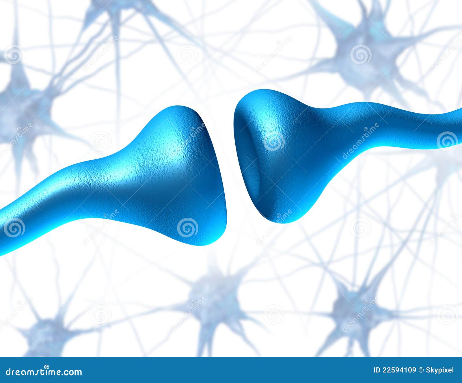 Synapse and Neuron Receptors Stock Illustration - Illustration of nerve ...