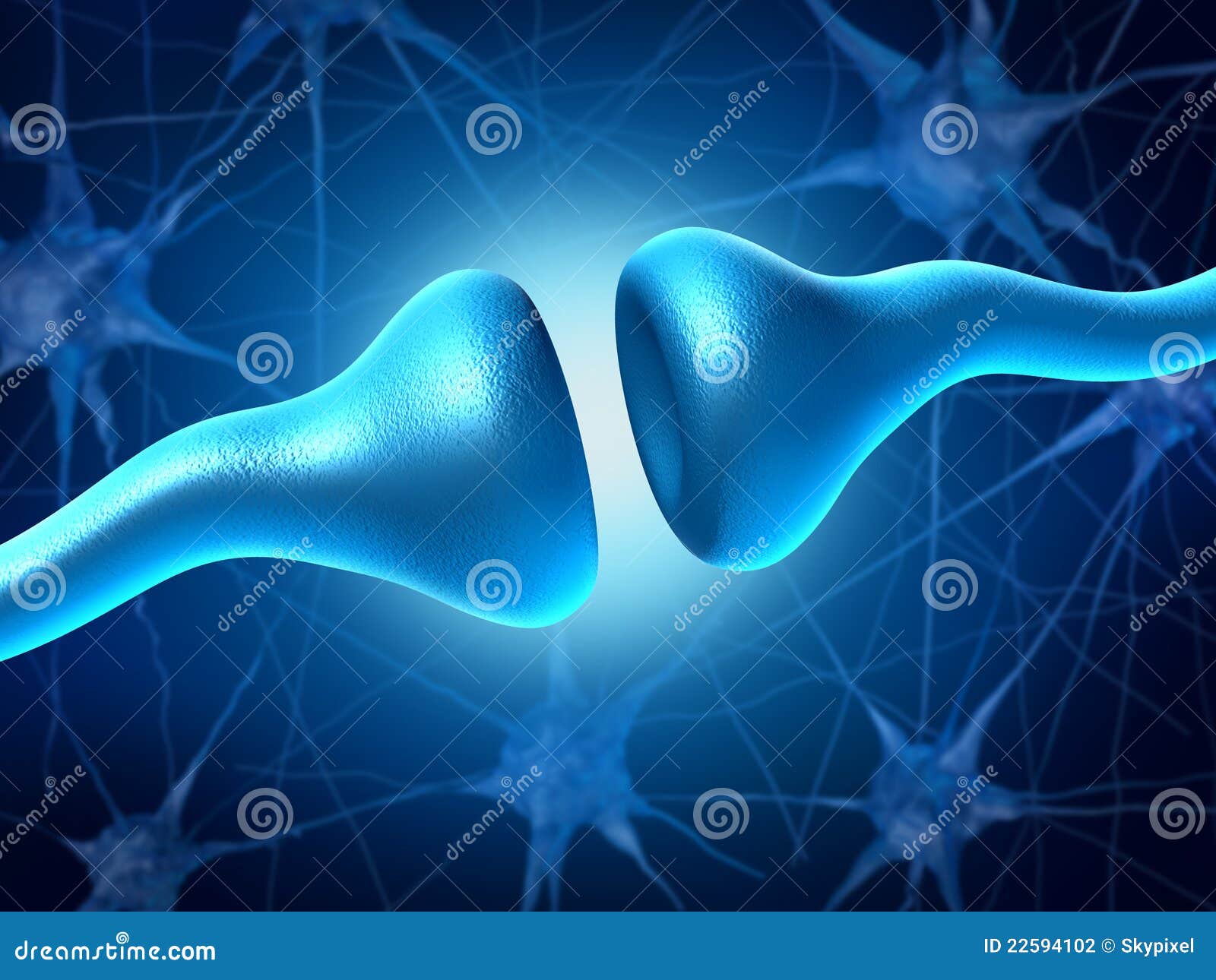 Synapse Between Two Neurons Neural Synapse Receptors Neuron Link Neural ...