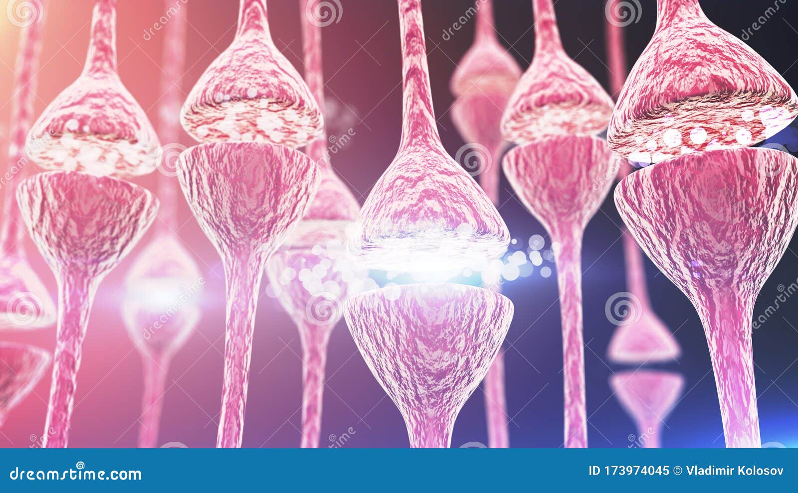 Synapse Connections. Structure That Permits A Neuron Or Nerve Cell To ... Synapse Connections. Structure That Permits A Neuron Or Nerve Cell To ...