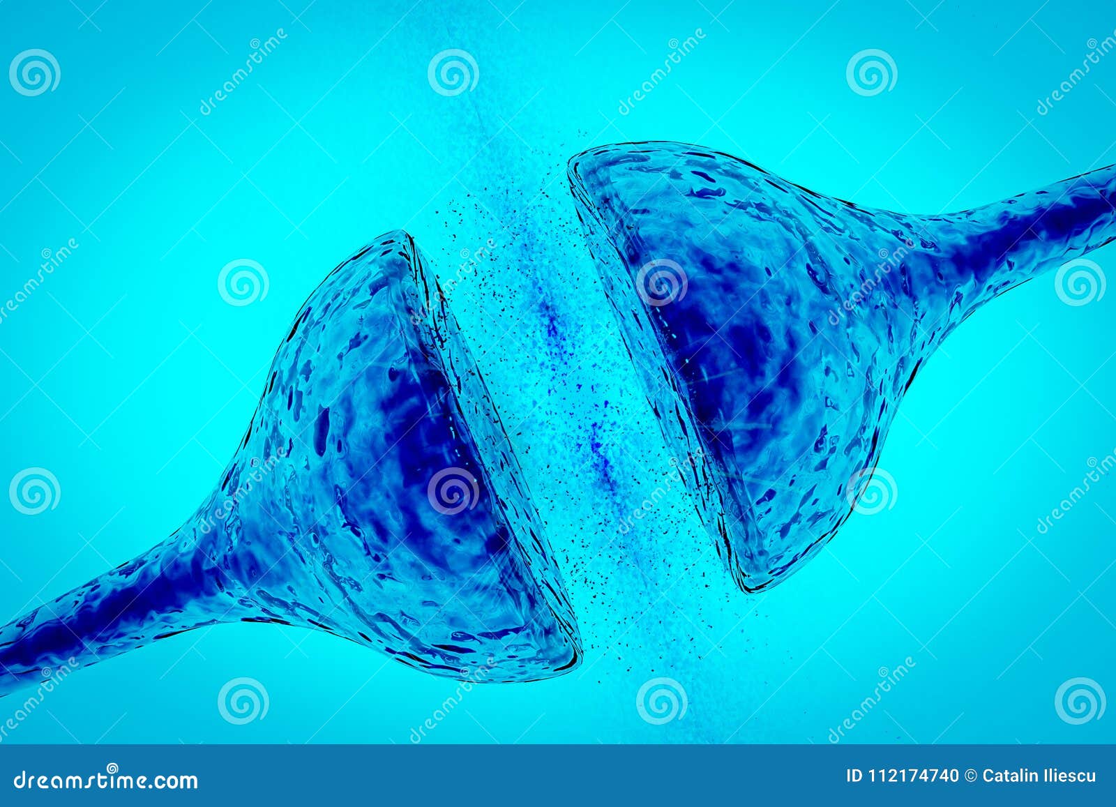 Synapse Between Two Neurons Neural Synapse Receptors Neuron Link Neural ...