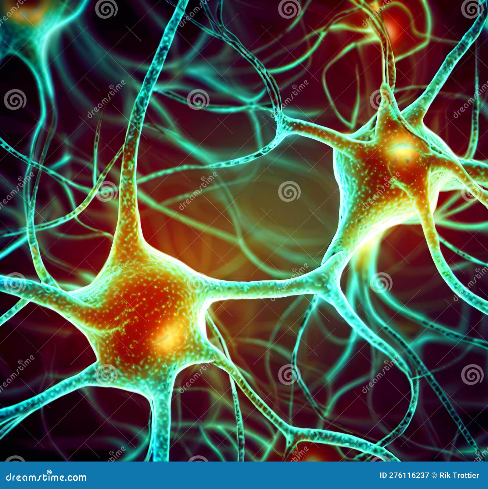 Synapses And Neurons Royalty-Free Stock Photography | CartoonDealer.com ...