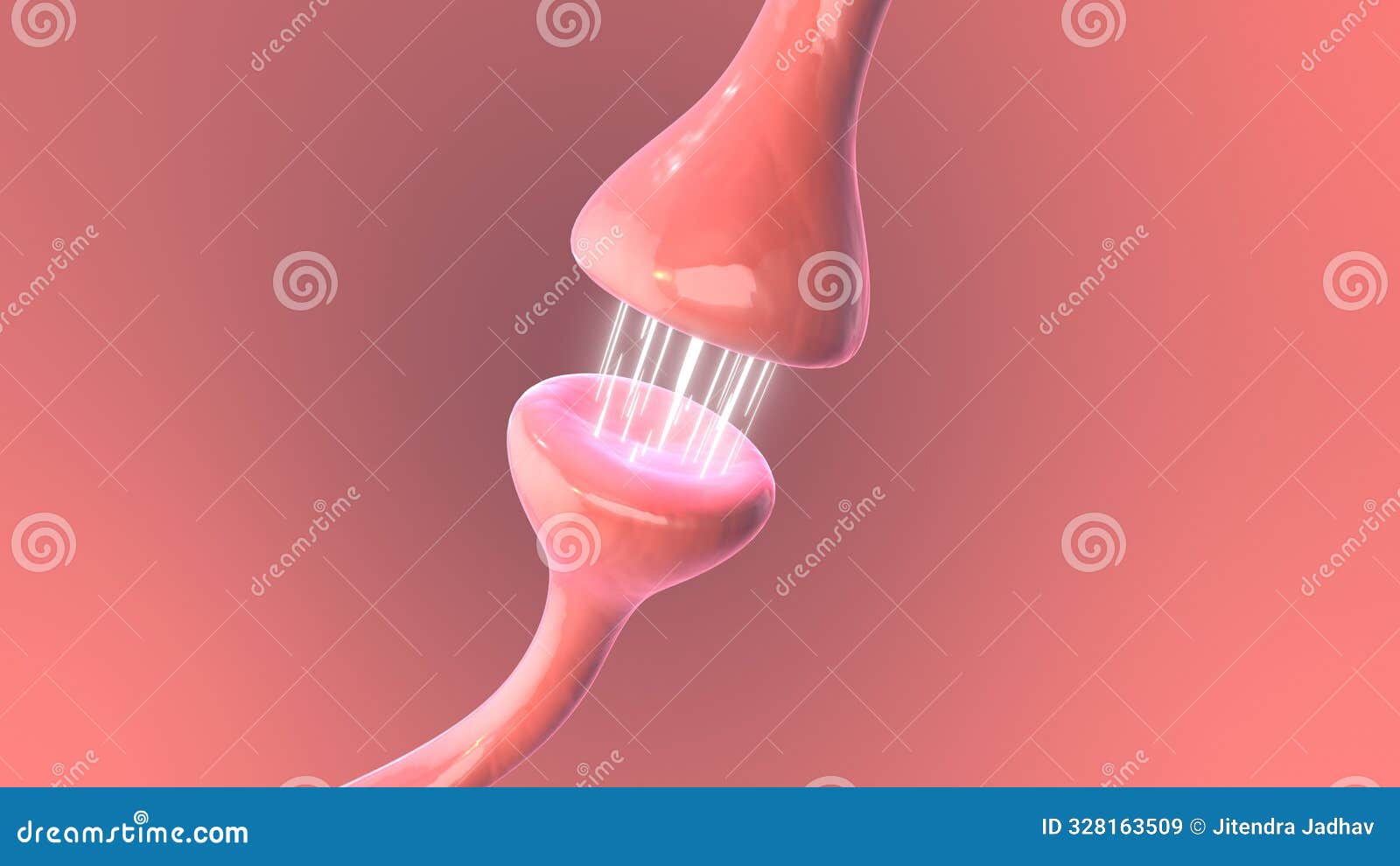 Synapses and Neurotransmission Medical Animation Stock Image - Image of ...
