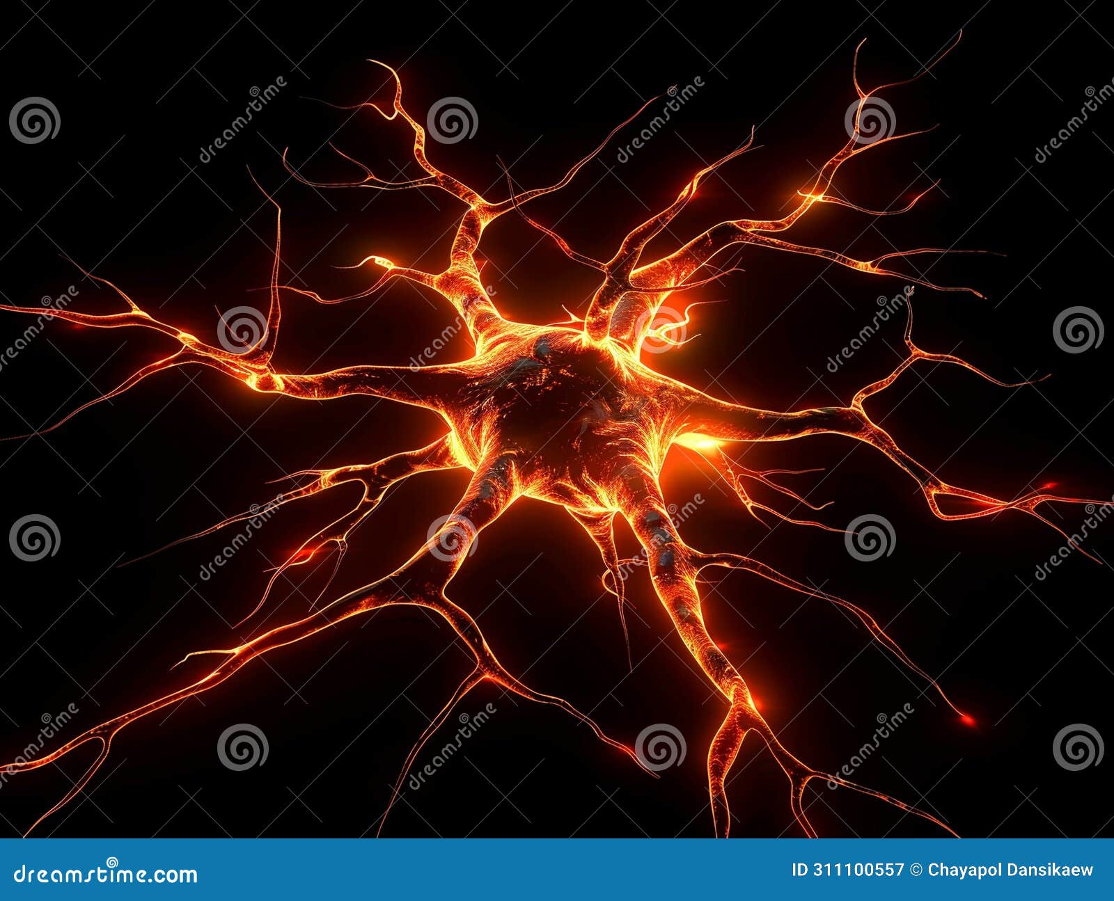Synaptic Connections Neuron Firing, Enhancing Memory Retention ...