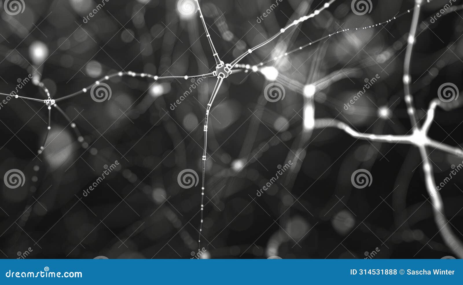Synaptic Illumination: Mapping the Neural Network Stock Photo - Image ...