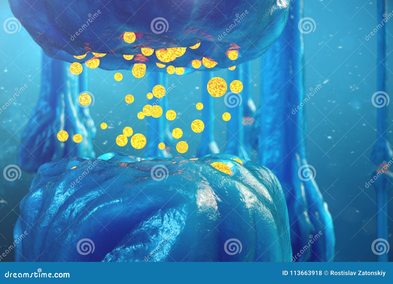 Synaptic Transmission, Human Nervous System. Brain Synapses Stock ...
