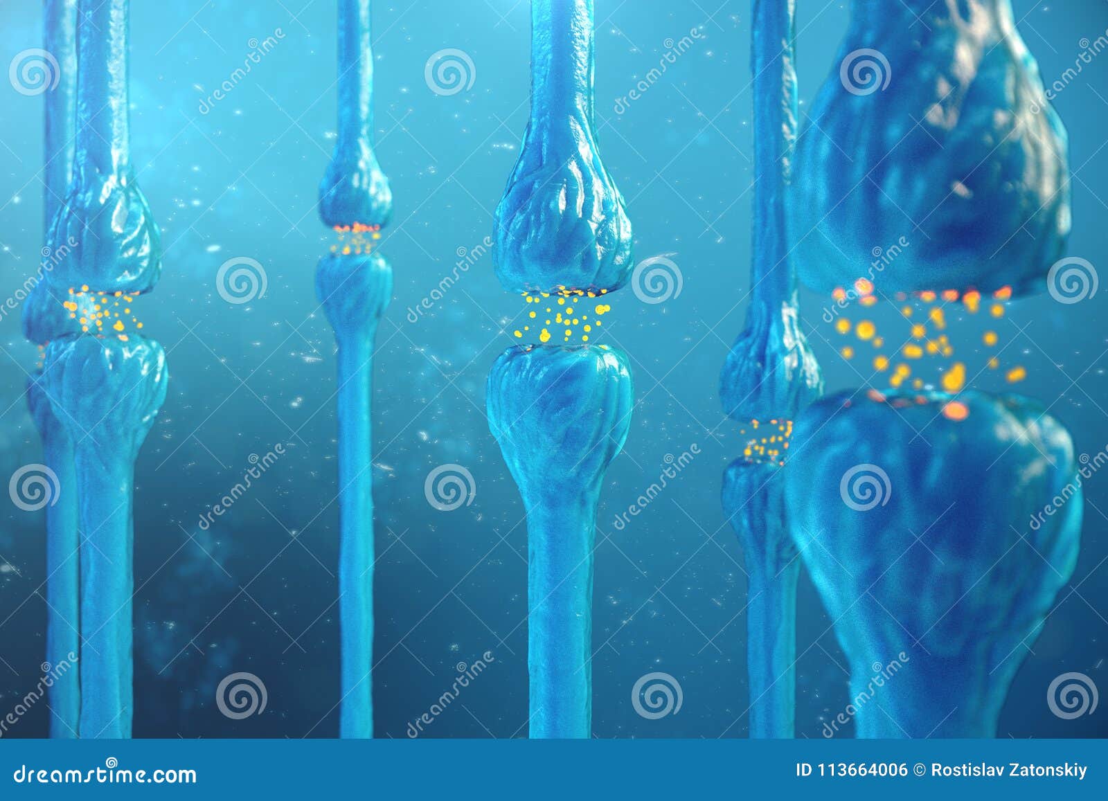 Synaptic Transmission, Human Nervous System. Brain Synapses Stock ...